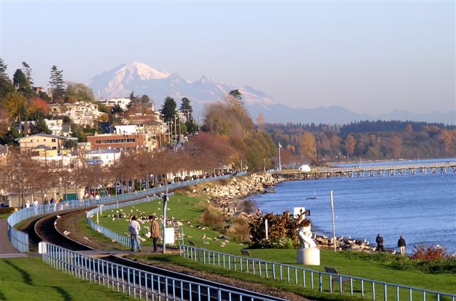 White Rock Vikas Anand Remax Westcoast